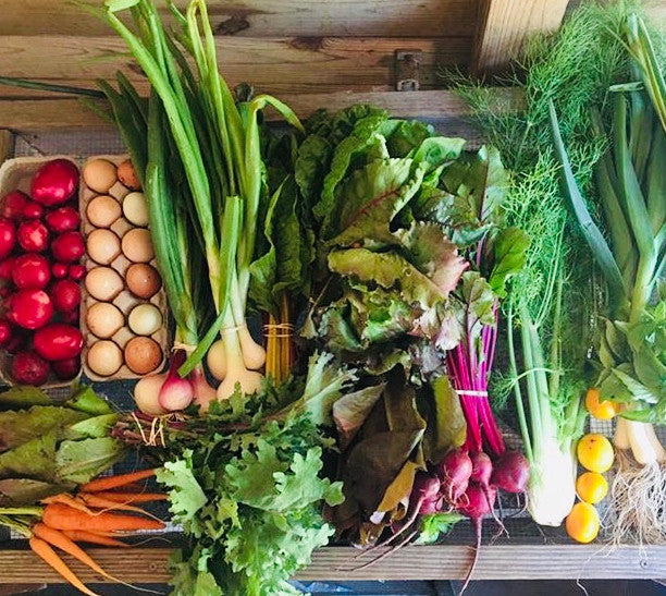 CSAs – Lowland Farms